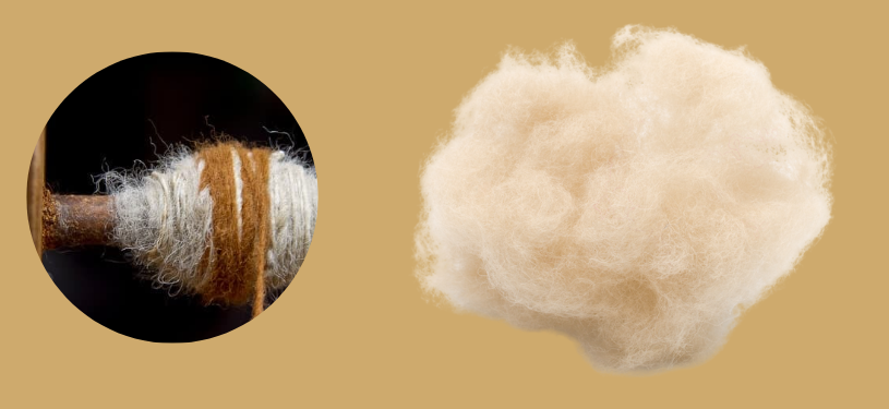 Wool facts – Texelana